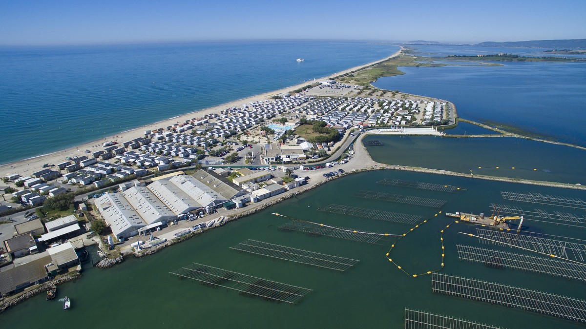 photographie aérienne de la station Ifremer