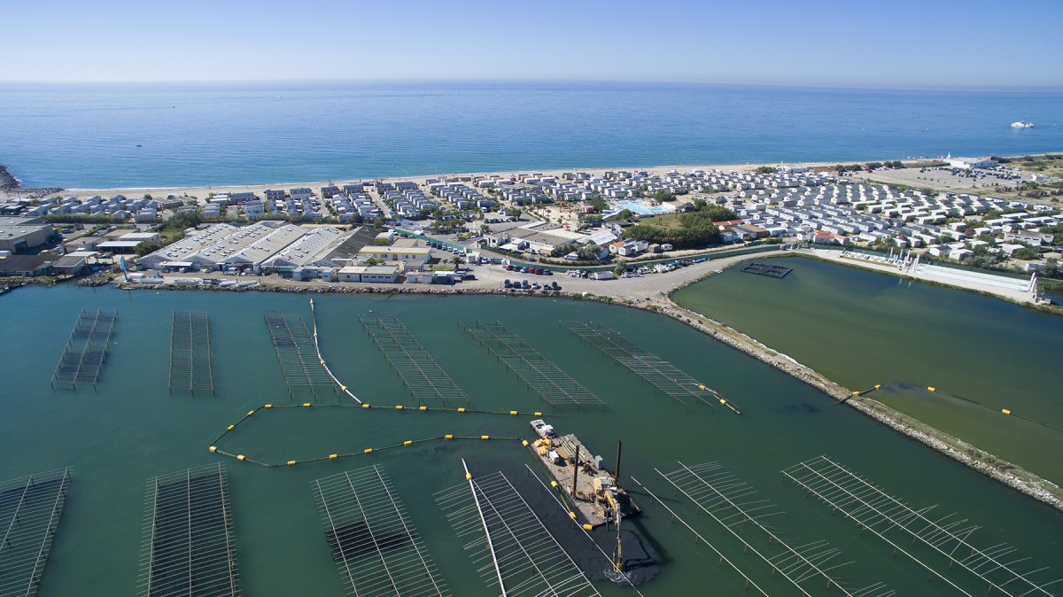 photographie aérienne de la station Ifremer