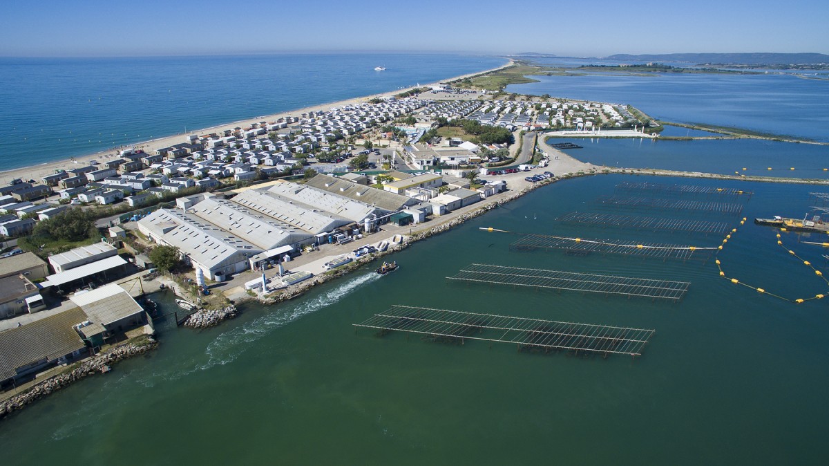 photographie aérienne de la station Ifremer